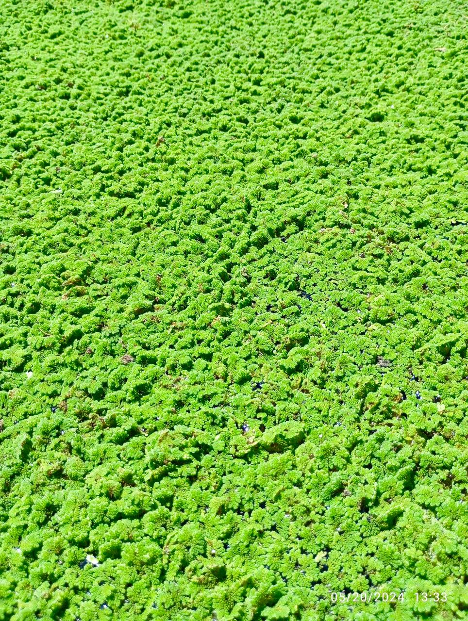 Home - AgRight Technologies